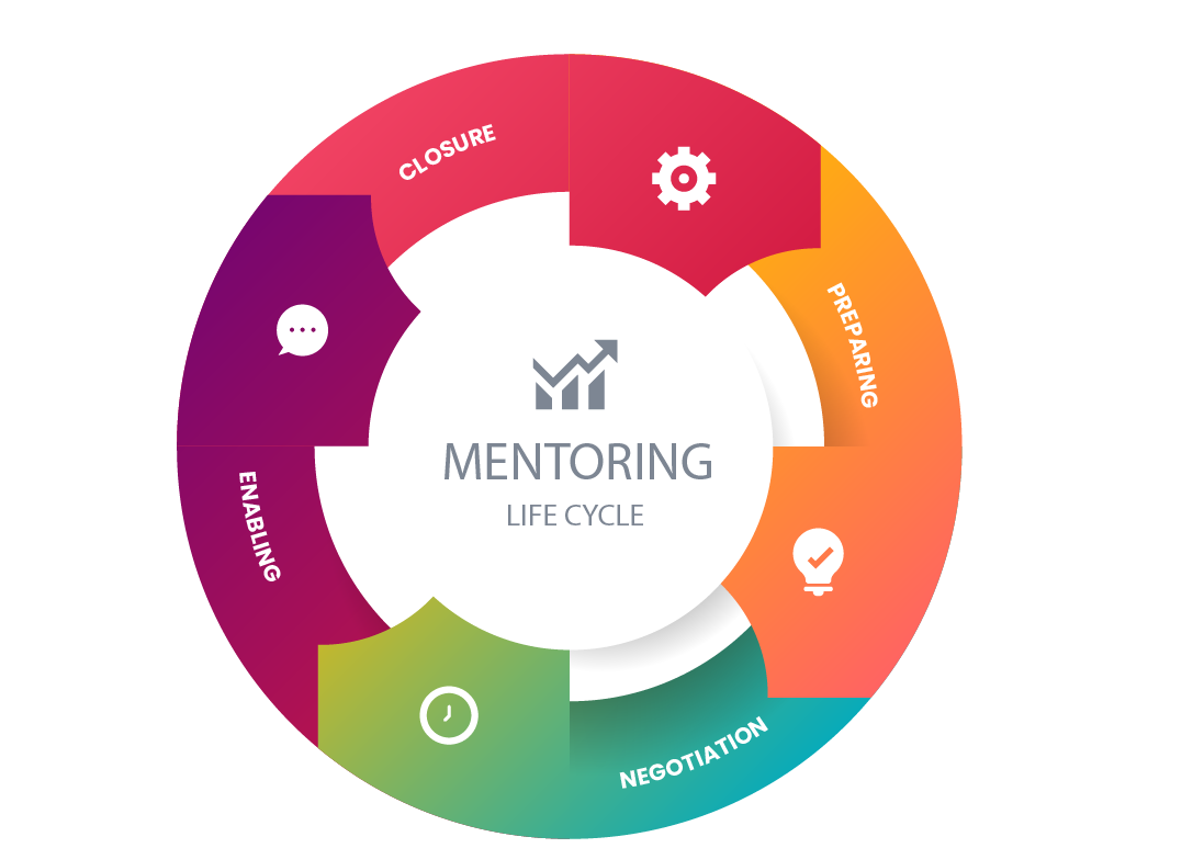 Mentoring Life Cycle - vrogue.co Mentoring Life Cycle - vrogue.co